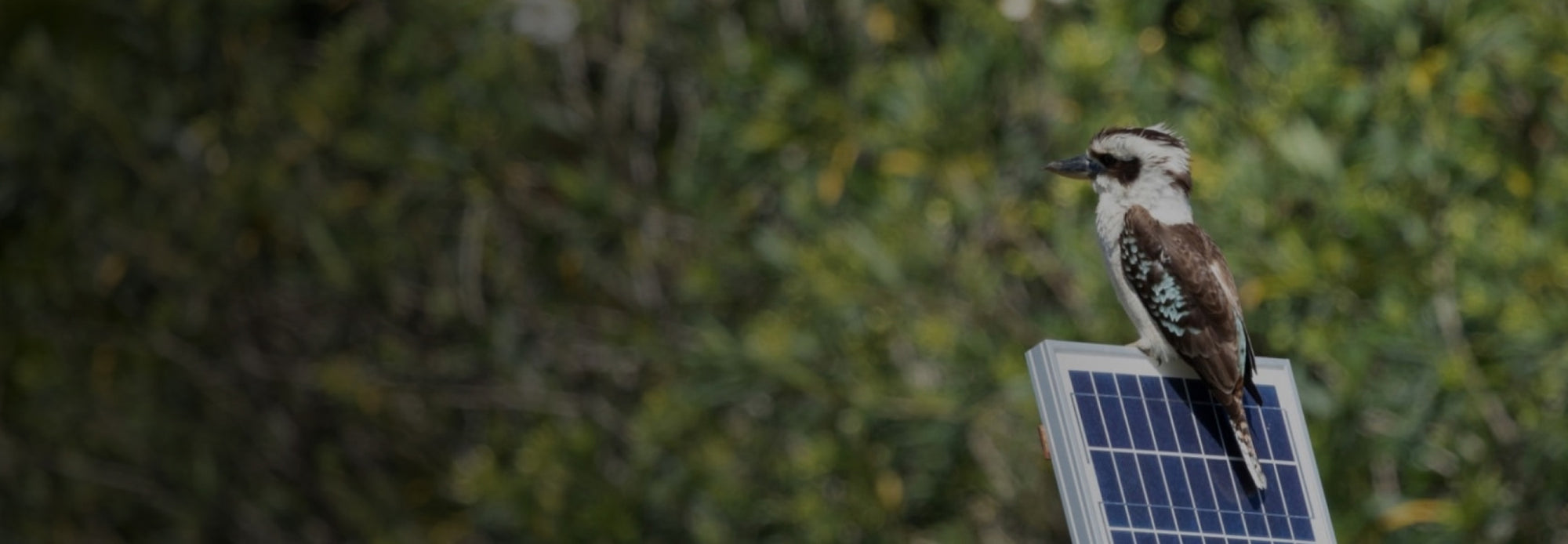 Voltx – VoltX Energy